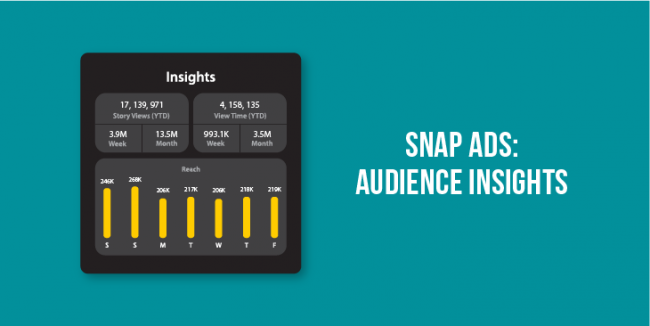 Snap Ads Audience Insights - Take Some Risk Inc.